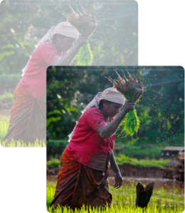 About Sa-Dhan – Sa-Dhan