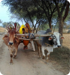 About Sa-Dhan – Sa-Dhan